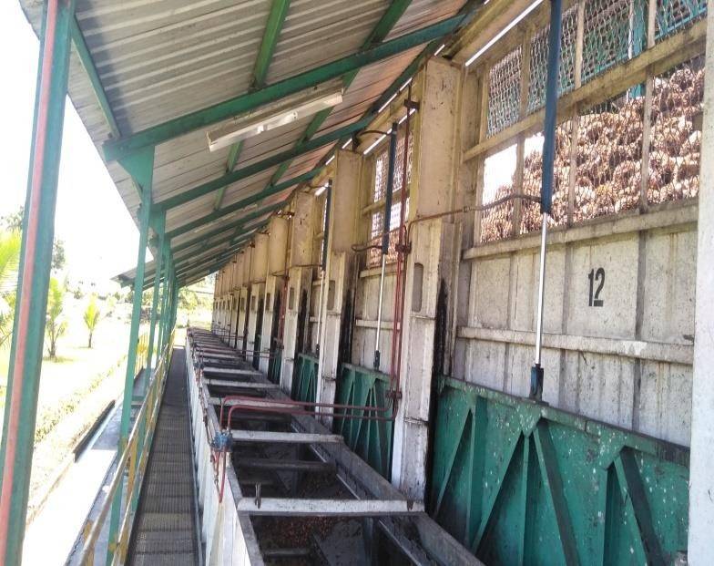 Gallery PKS - Sawit Lestari Group